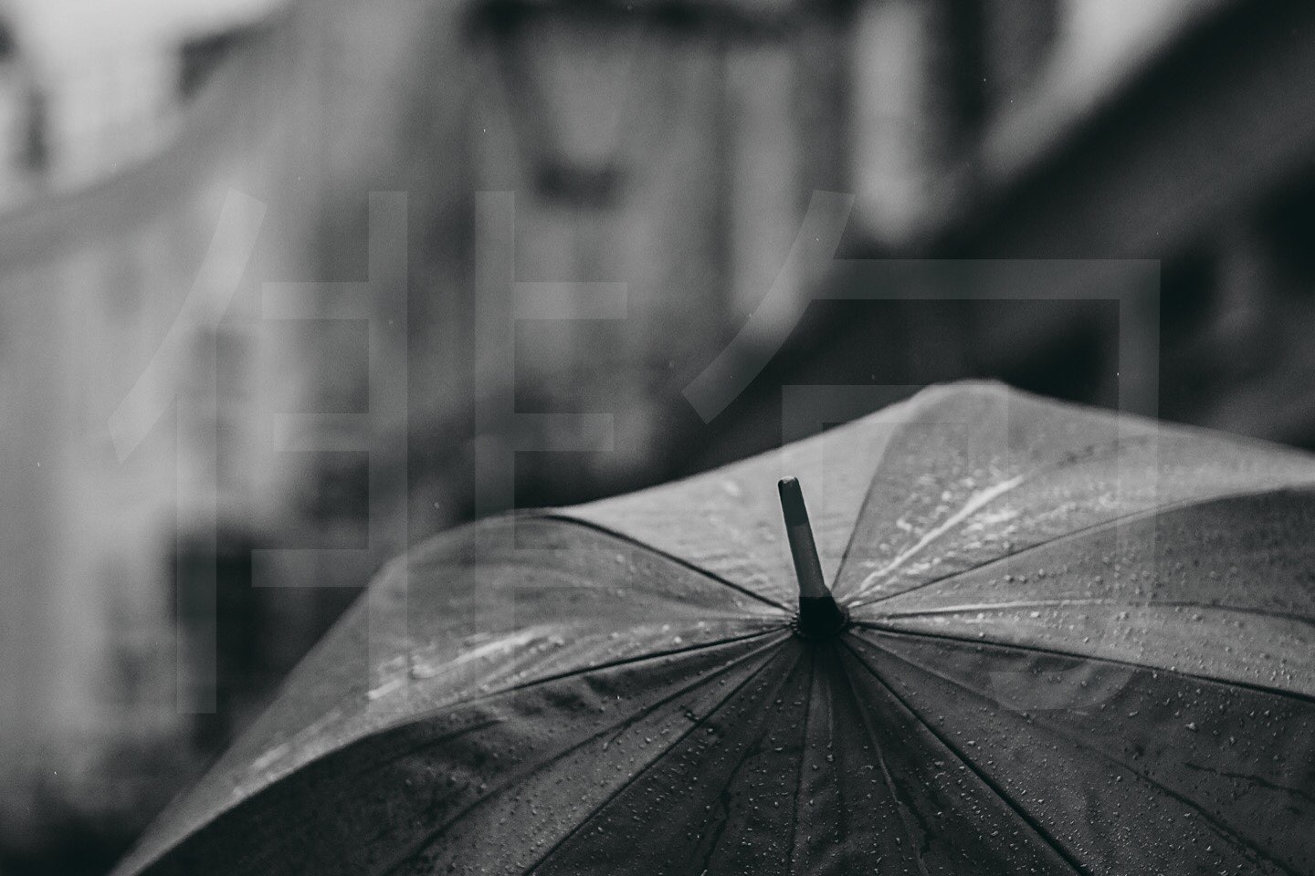 Haiku No. 113 - Bucket Of Water. - the indefiniteloop blog - Haiku